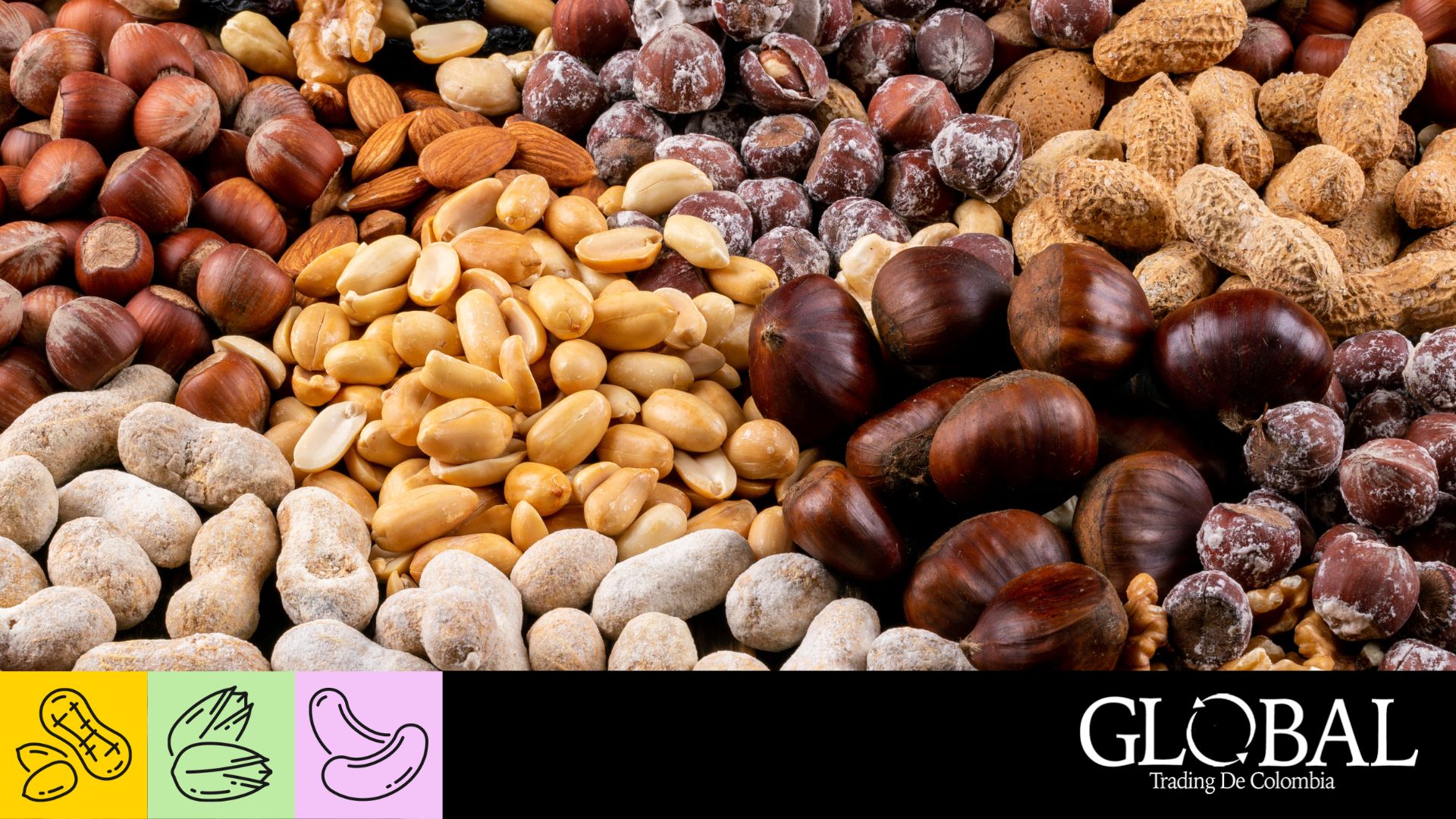 Proveedor líder de maní y frutos secos en Colombia. | GLOBAL TRADING DE ...